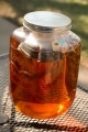 Southern Sweet Sun Tea - Pear Tree Kitchen