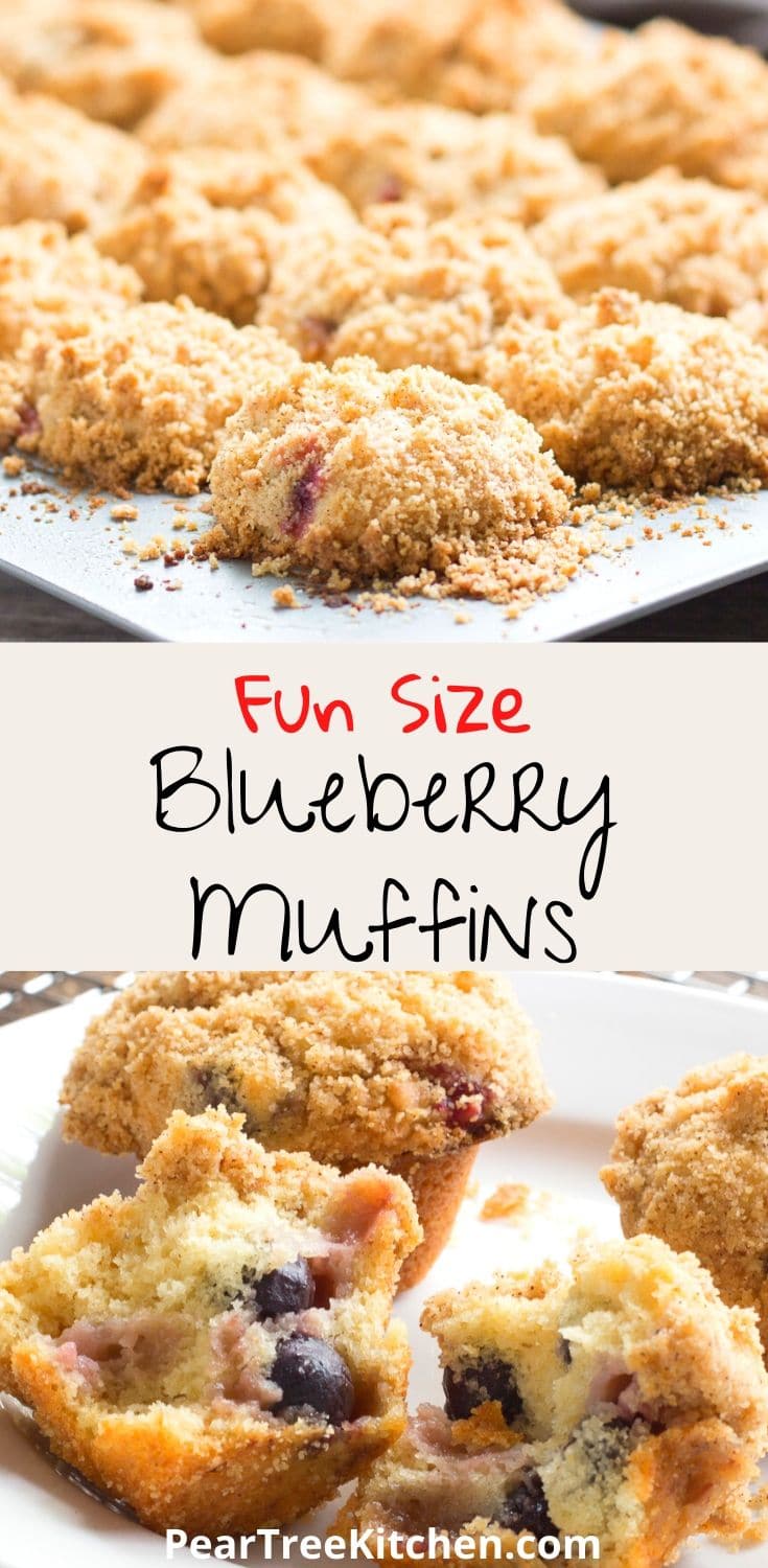 Mini Blueberry Muffins with Streusel Topping | Pear Tree Kitchen