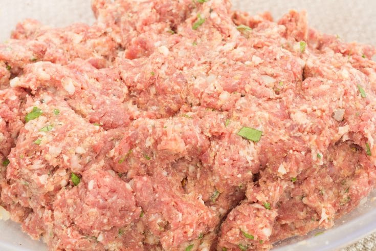 Meat Stuffed Shells Covered in Melty Cheese - Pear Tree Kitchen