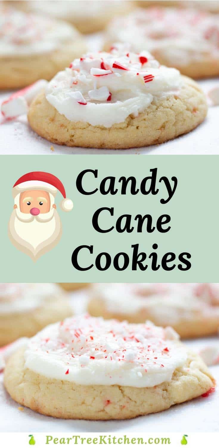 Quick and Easy Peppermint Cookies | Pear Tree Kitchen